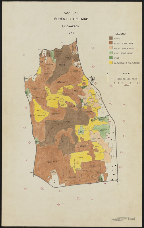 Prospect Hill IX Forest Type Map 1947 - Digital Commonwealth