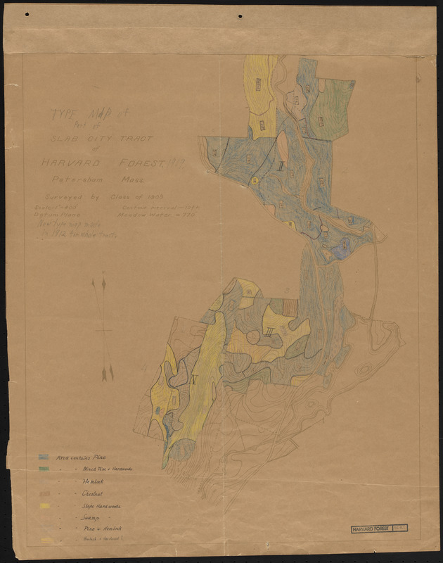 Type Map of Slab City Tract Compartments III - VIII - Digital Commonwealth