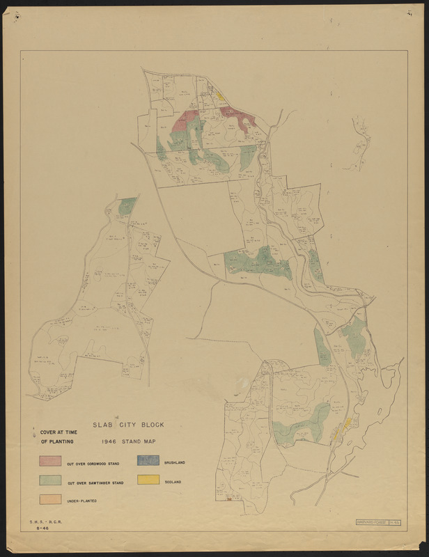 Slab City Block Stand Map 1946 Plantations - Digital Commonwealth