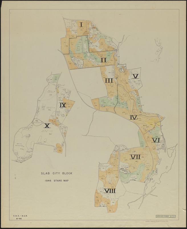 Slab City Block 1946 Stand Map Open Areas, Plantations and Other Land ...
