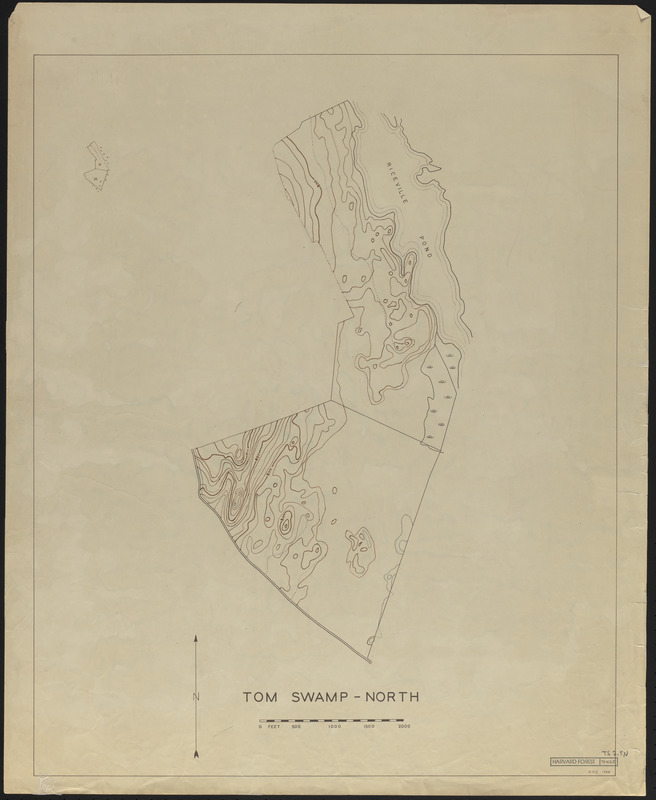 Topographic Maps of Tom Swamp-North 1948 - Digital Commonwealth