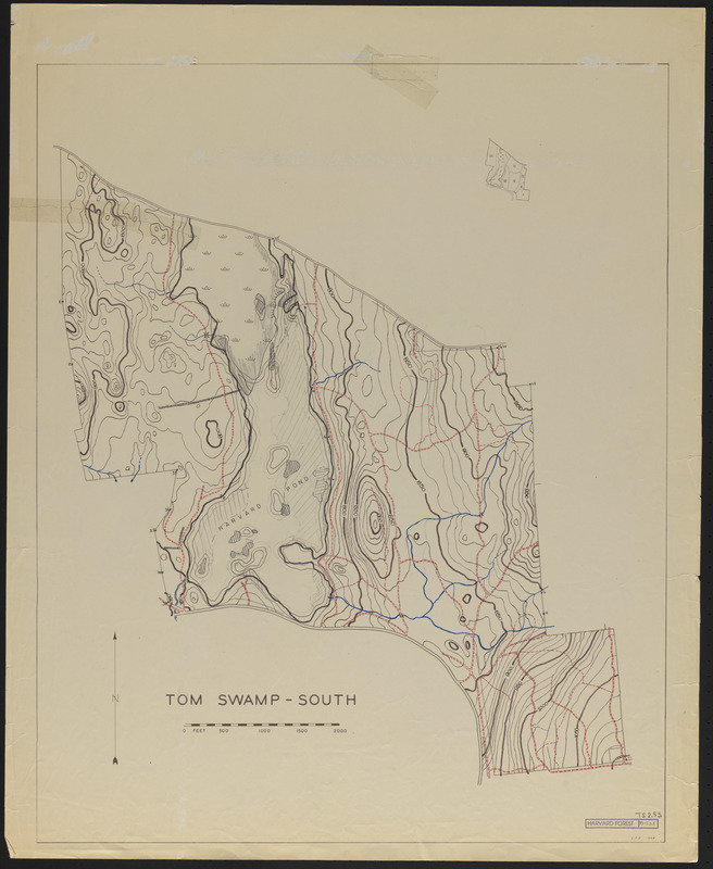 Topographic maps of Tom Swamp-South 1948 - Digital Commonwealth