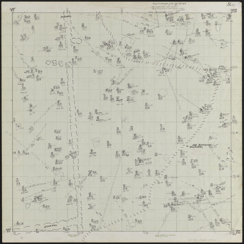 SE21 200 x 100 ft. Block of Lyford Grid - Digital Commonwealth
