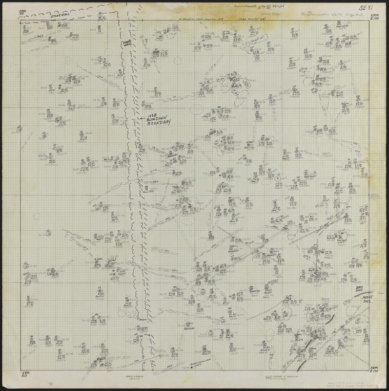 SE31 300 x 100 ft. Block of Lyford Grid - Digital Commonwealth