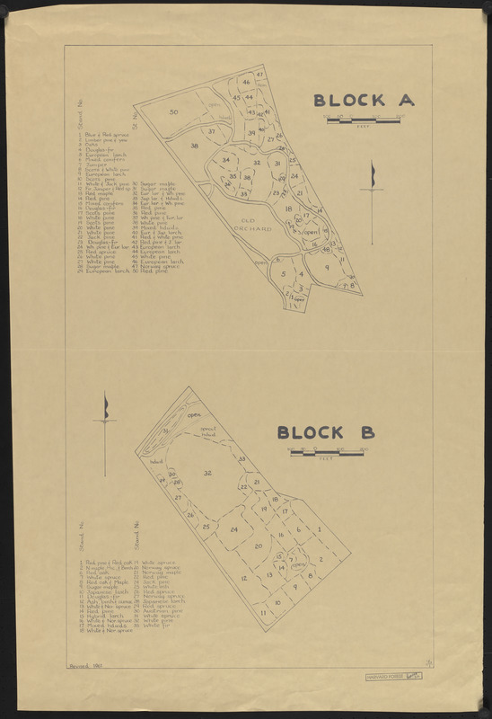 Nathan Matthews Plantations Block A-B Stand Map - Digital Commonwealth