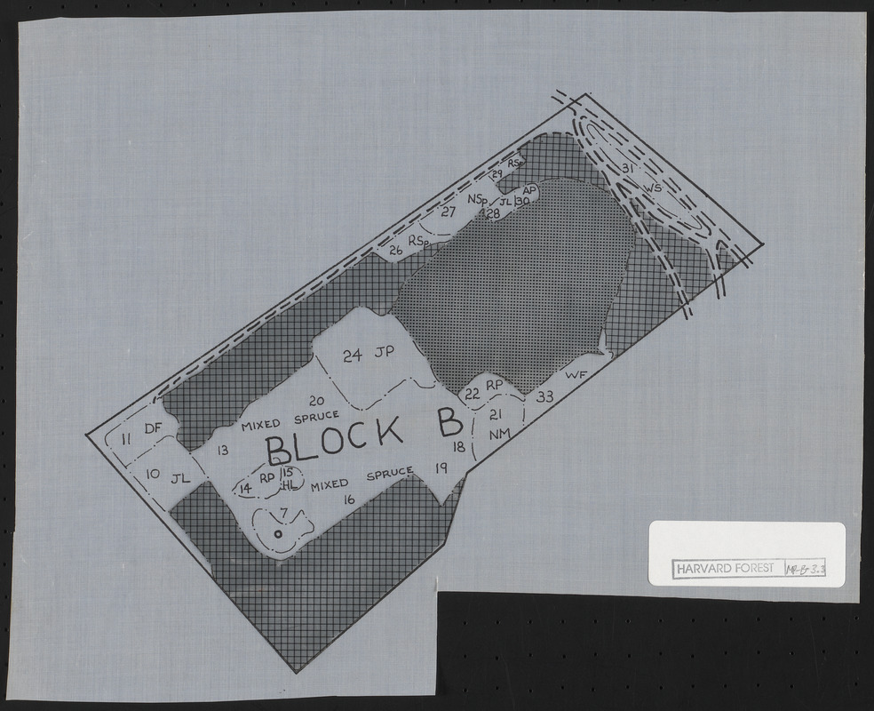 Nathan Matthews Plantations Block B - Digital Commonwealth