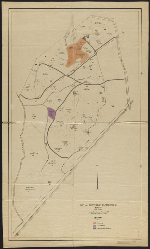 Nathan Matthews Plantations Block E - Digital Commonwealth