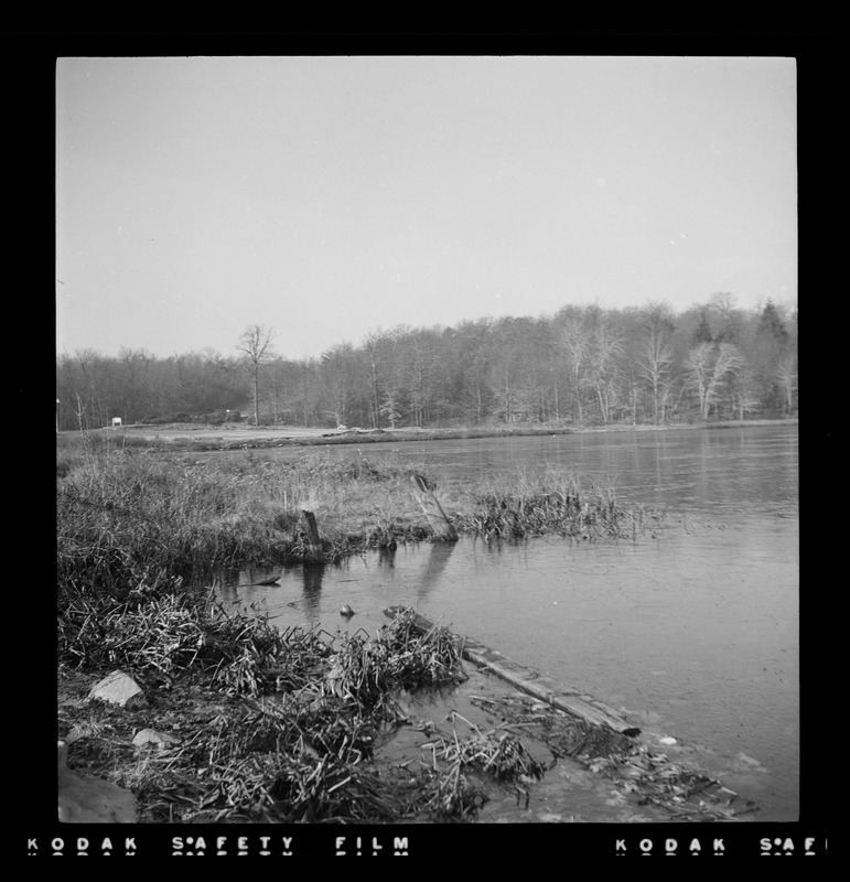 Hammond Pond, Newton, Massachusetts - Digital Commonwealth