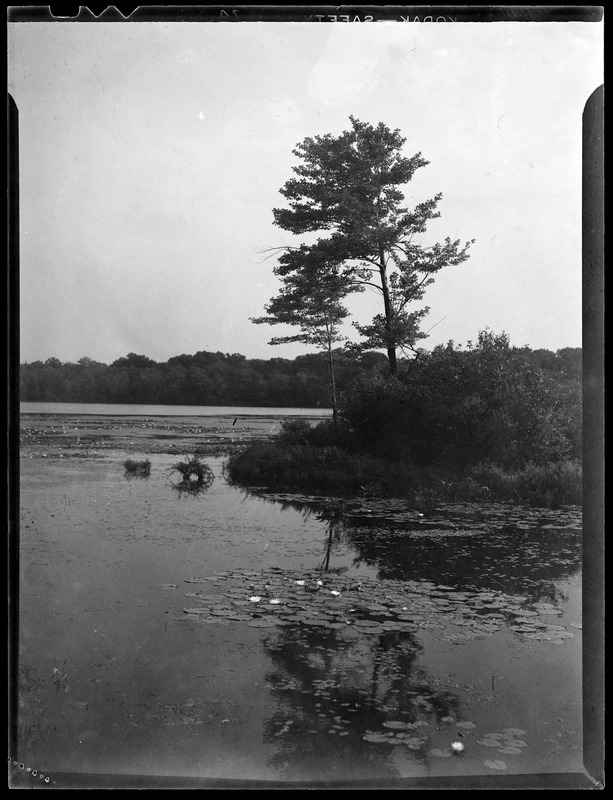 Hammond Pond, Newton, Massachusetts - Digital Commonwealth