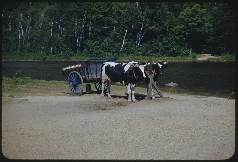 Ox cart, Crawford Notch - Digital Commonwealth
