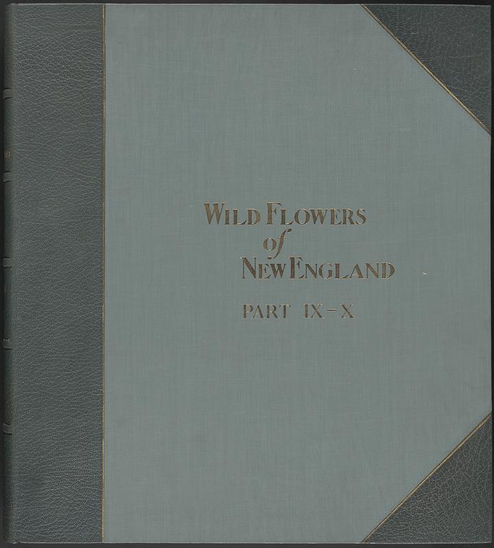 Wild flowers of New England. Part IX, Flowers of mid-summer. Part X ...