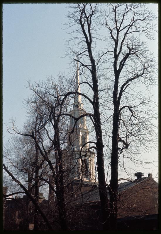 Trees in front of Park Street Church, Boston - Digital Commonwealth