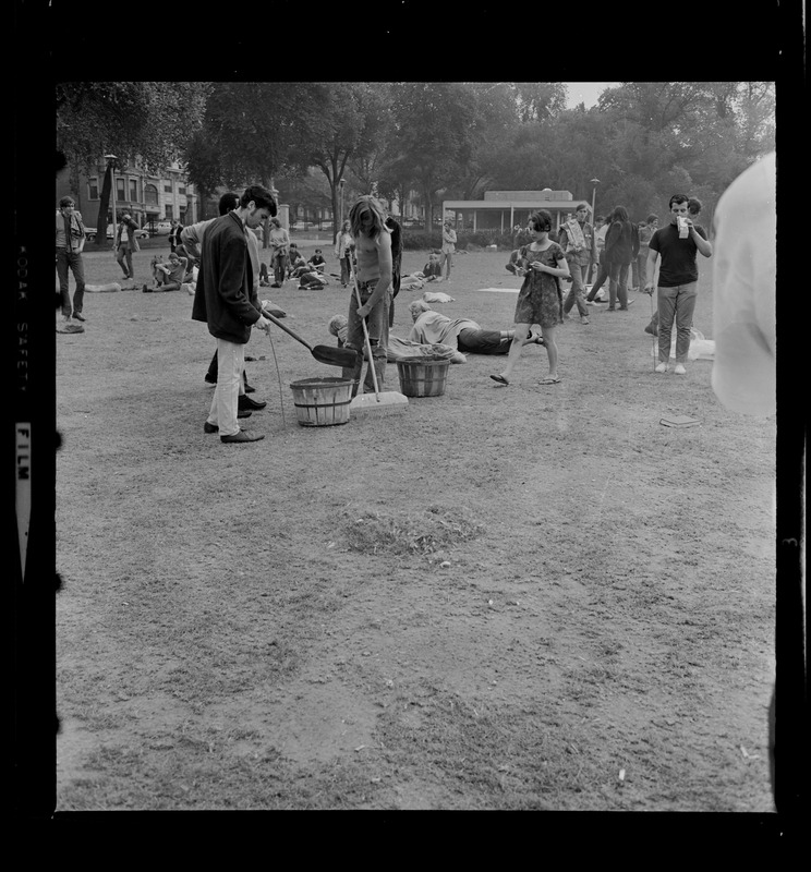 People raking in the Boston Common - Digital Commonwealth