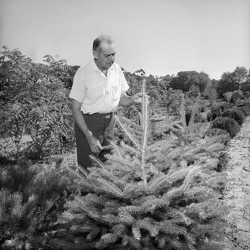 Bristol County Agricultural High School, Dighton, MA - Digital Commonwealth