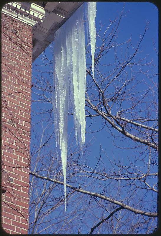 Icicles - Digital Commonwealth