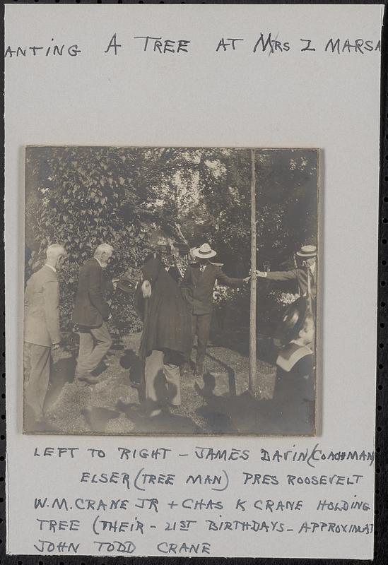 President Roosevelt planting a tree - Digital Commonwealth
