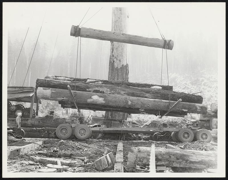 Lumber. Washington State. - Digital Commonwealth