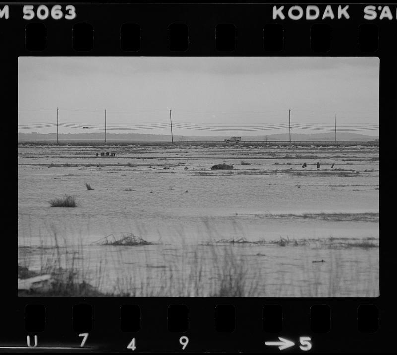Plum Island turnpike and flooded marsh - Digital Commonwealth