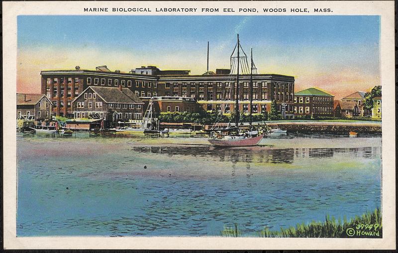 Marine Biological Laboratory from Eel Pond, Woods Hole, Mass. - Digital ...