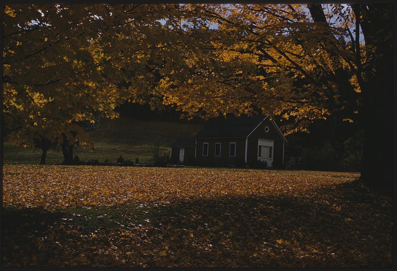 Country house and fall foliage - Digital Commonwealth