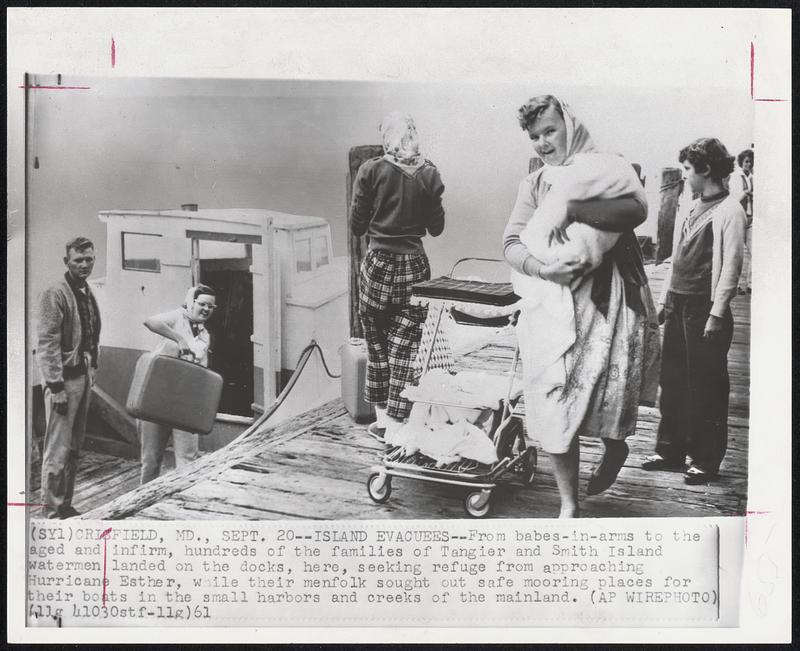 Island Evacuees -- From babes-in-arms to the aged and infirm, hundreds ...