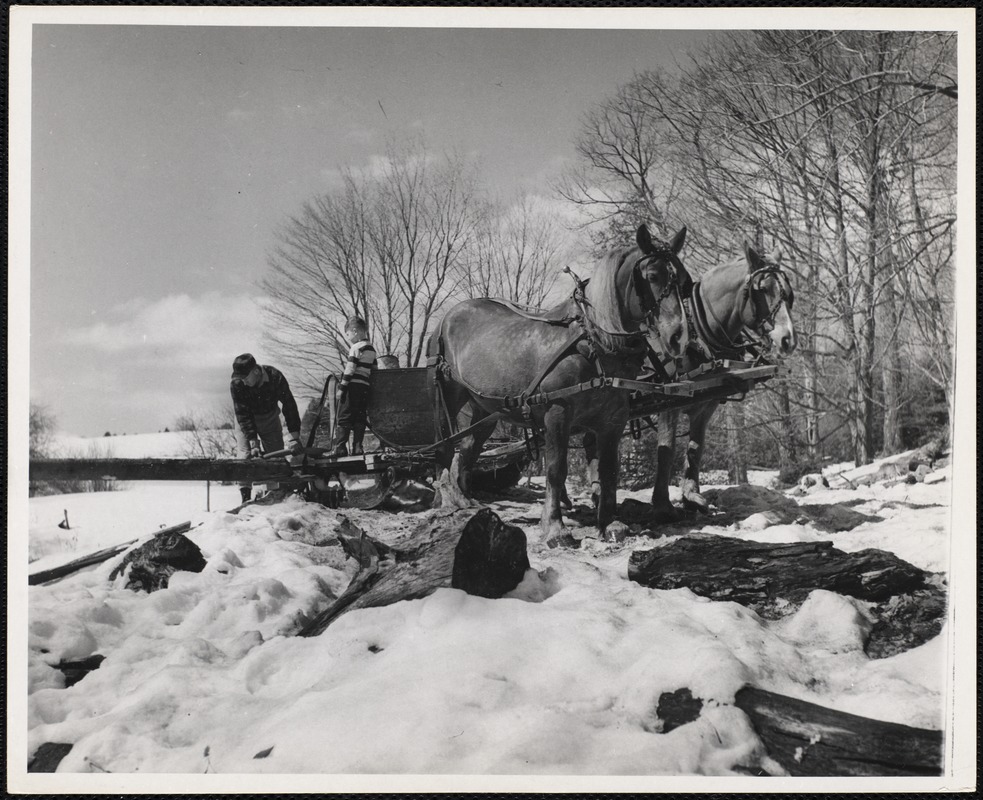 Vermont. Maple sugaring - Digital Commonwealth