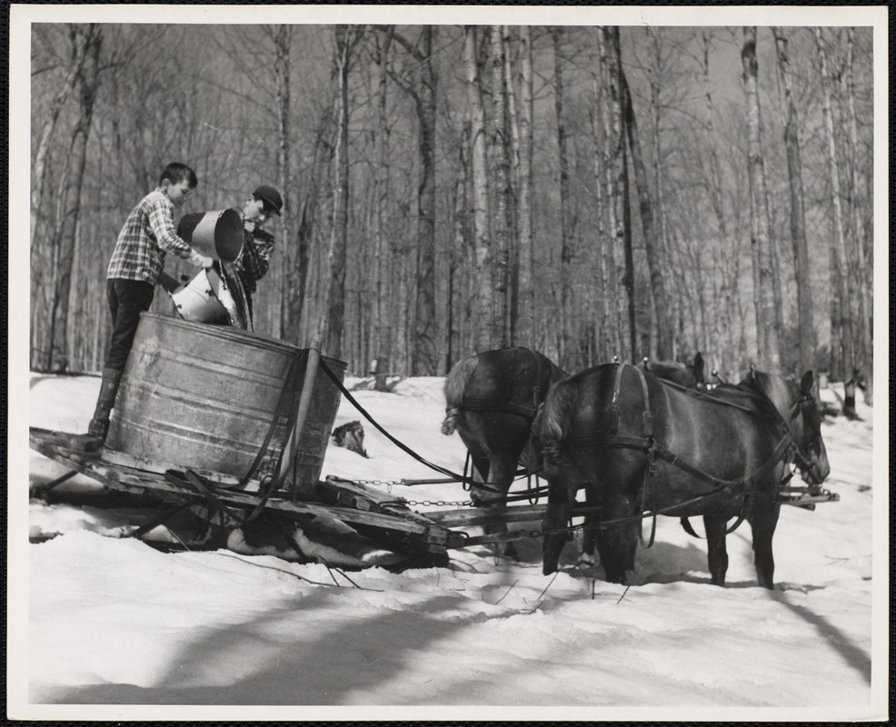 Vermont maple sugaring - Digital Commonwealth