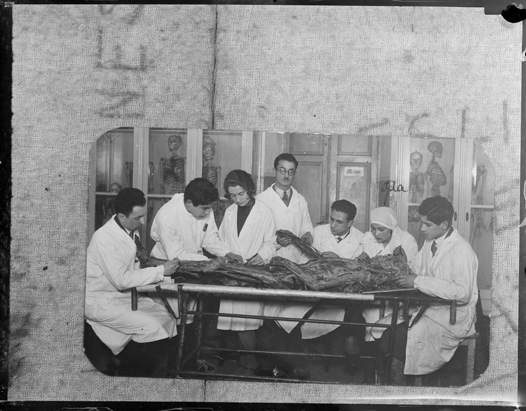 Students doing autopsy? - Digital Commonwealth