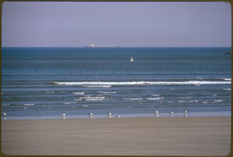 Revere Beach Oceanside Drive - Digital Commonwealth