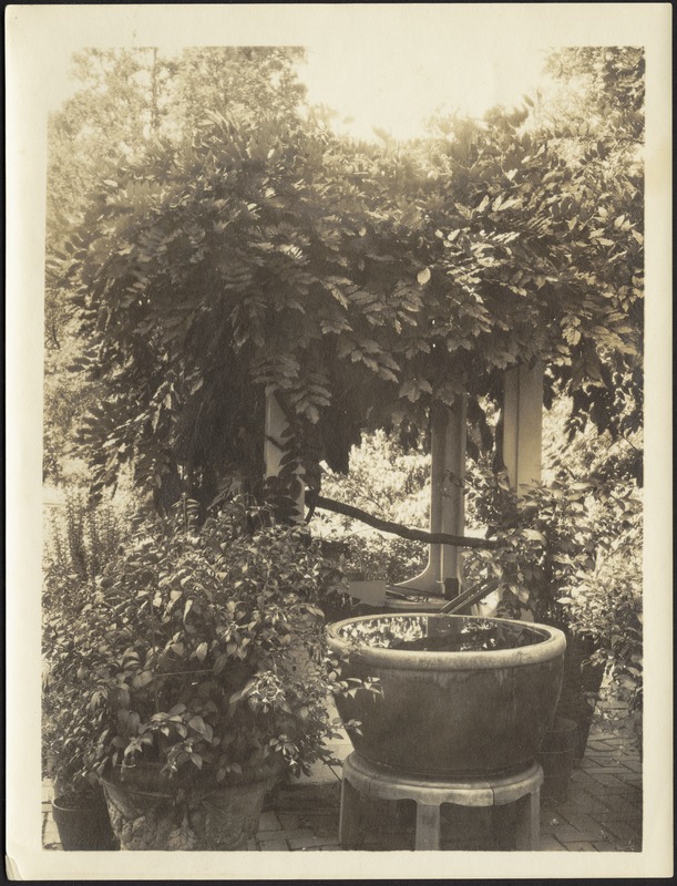 Ashdale Farm. Well and garden pots - Digital Commonwealth