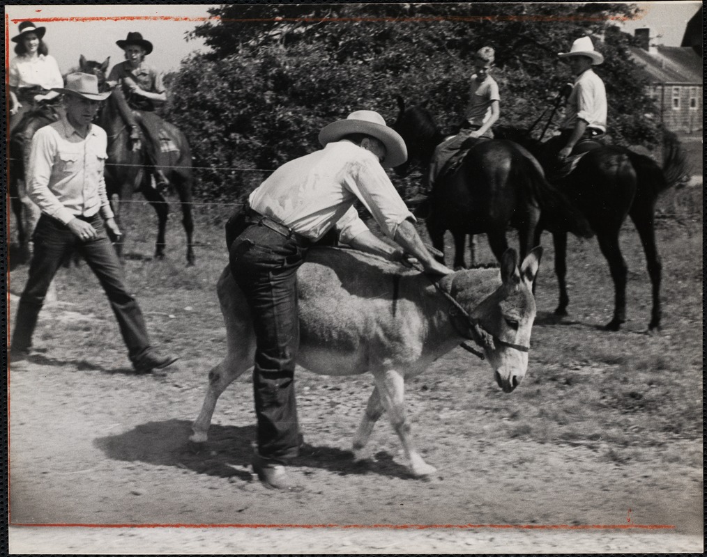 Dude ranch Cape Cod 1 - Digital Commonwealth