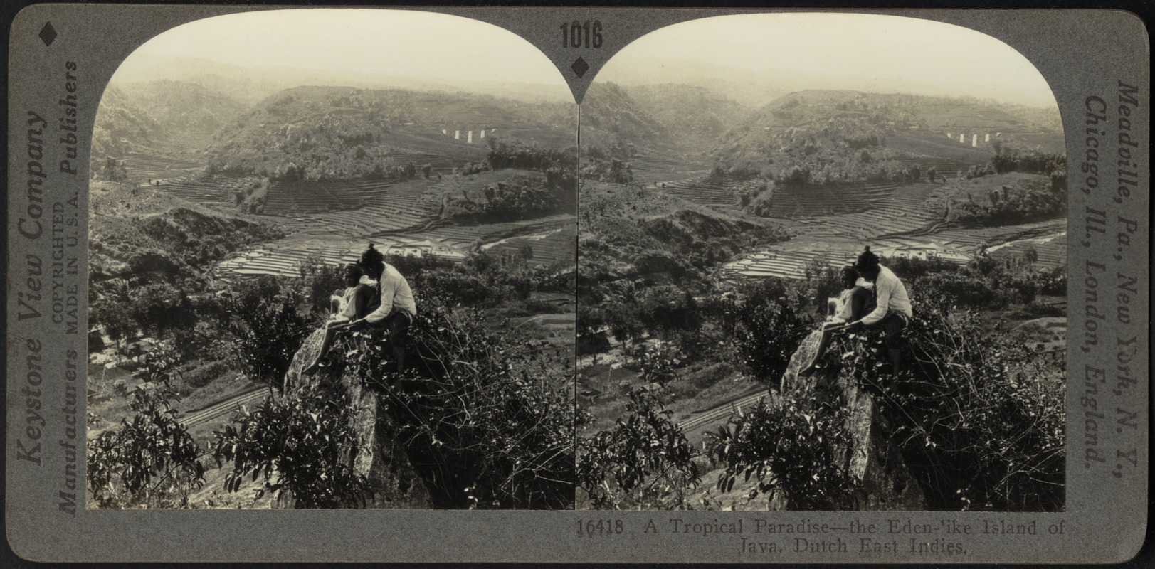 A tropical paradise - the Eden-like island of Java - Digital Commonwealth