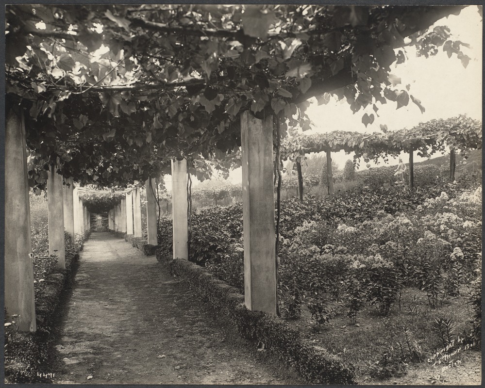 John L. Gardner estate, Warren St., Mrs. Jack's garden - Digital ...