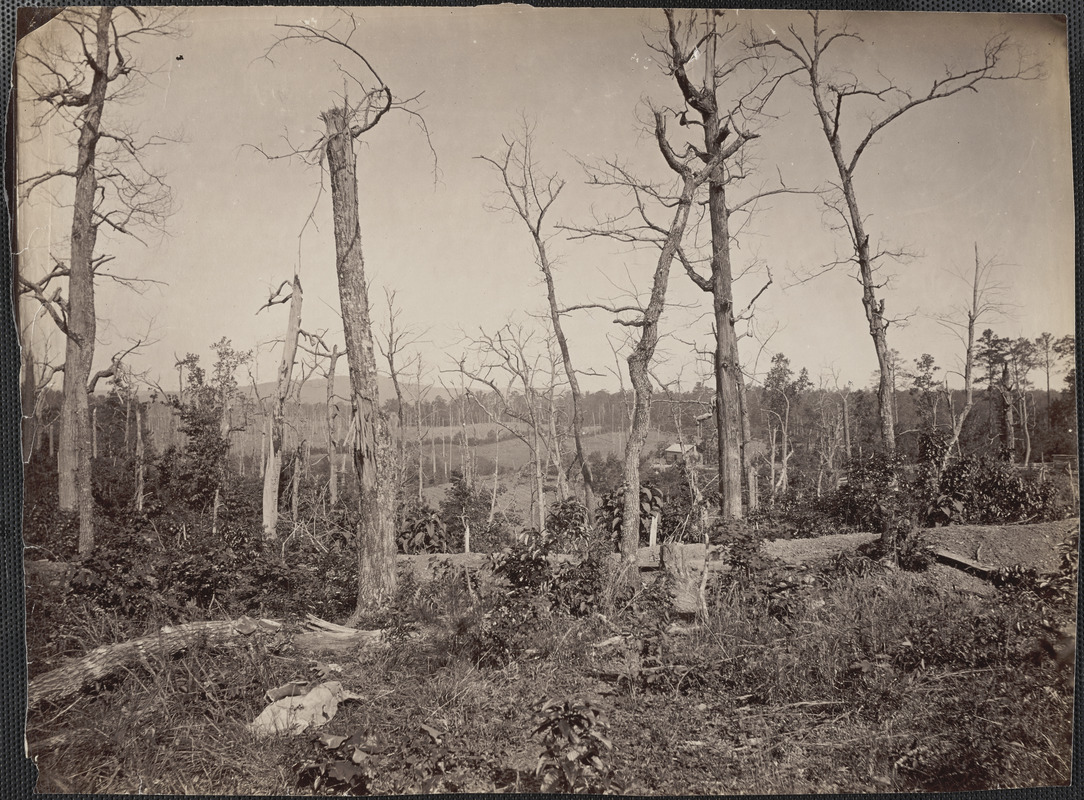 Battlefield of Resaca Georgia - Digital Commonwealth