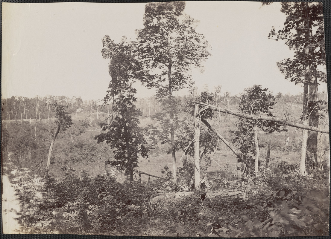 Battlefield of Resaca Georgia - Digital Commonwealth