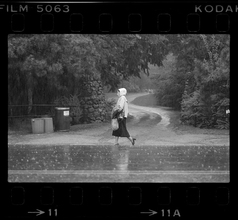 Rainy day walking on State Street, High Street - Digital Commonwealth