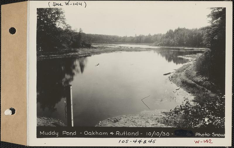 Muddy Pond, pond, Oakham and Rutland, Mass., Oct. 10, 1930 - Digital ...