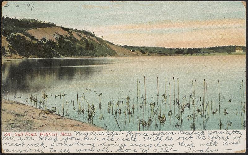 Gull Pond, Wellfleet, Mass. - Digital Commonwealth