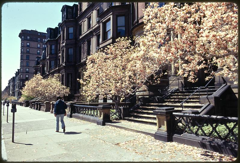 Commonwealth Ave. between Arlington & Berkeley Streets. - Digital ...