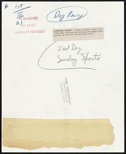 Looking Ahead - Meanus Magic, shown with Trainer B Antunes, wait ...