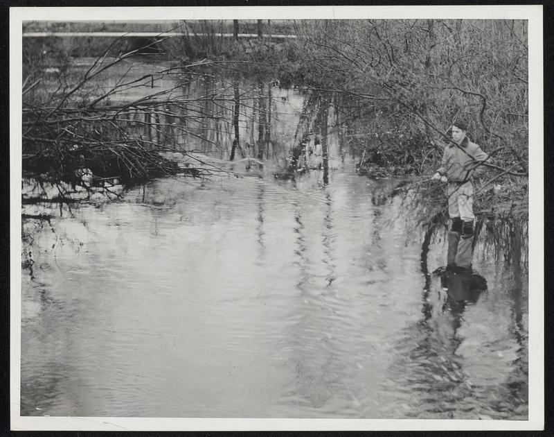Weir River, Hingham. John Donna of Quincy has every thing to himself on ...