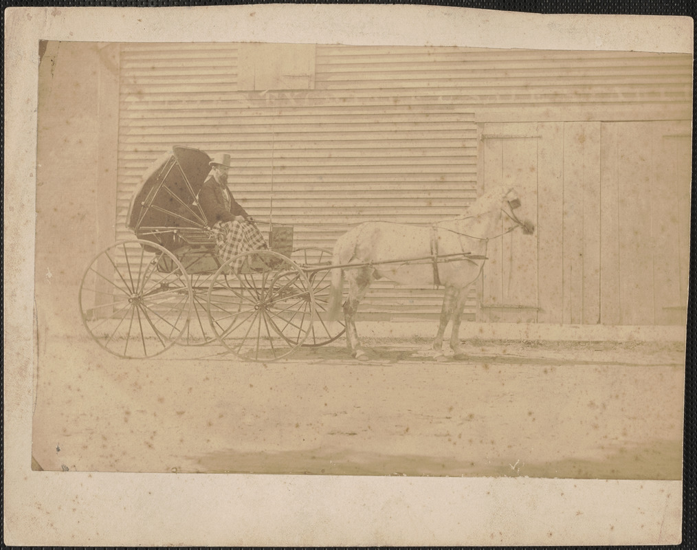 Man with horse carriage - Digital Commonwealth