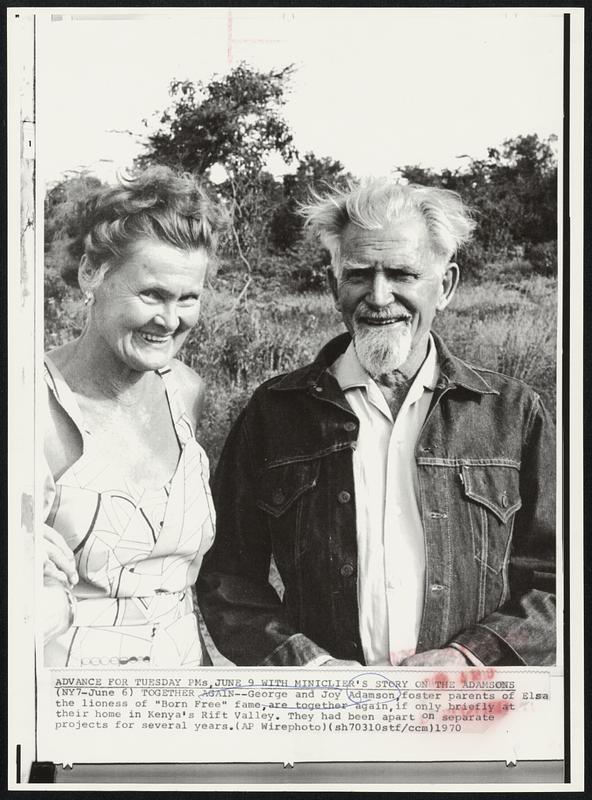 Together Again--George and Joy Adamson, foster parents of Elsa the ...