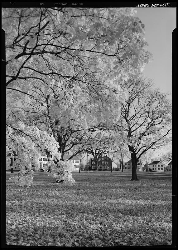 Ipswich, autumn - Digital Commonwealth