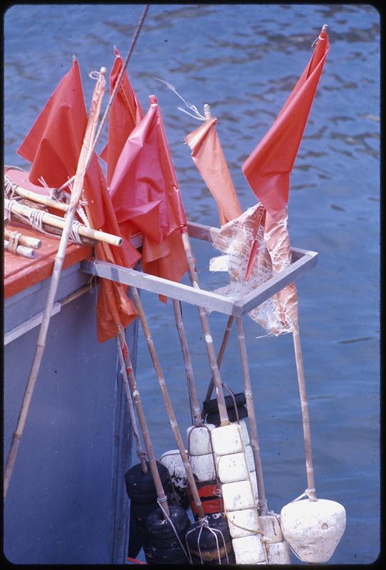 Red floater flags - Digital Commonwealth