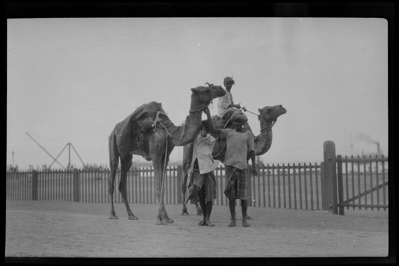 Aden - Digital Commonwealth