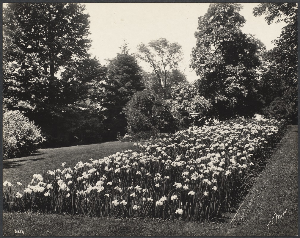 John L. Gardner estate, Warren St. - Digital Commonwealth