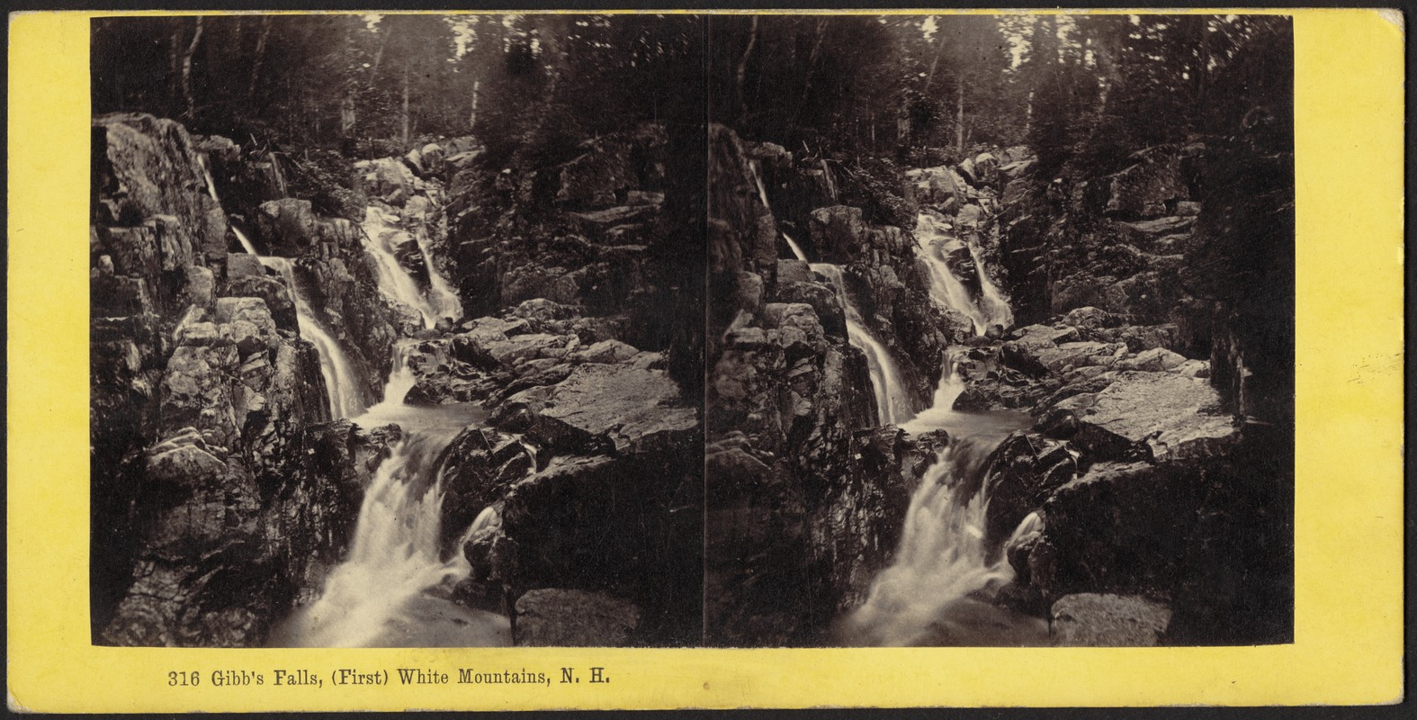 The naiads - Digital Commonwealth