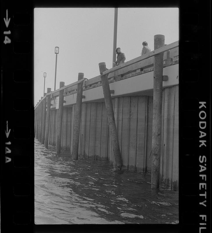 Waterfront pilings - Digital Commonwealth