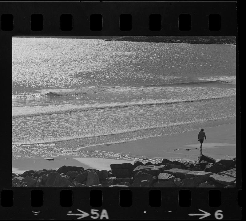 Lone beach walker - Digital Commonwealth